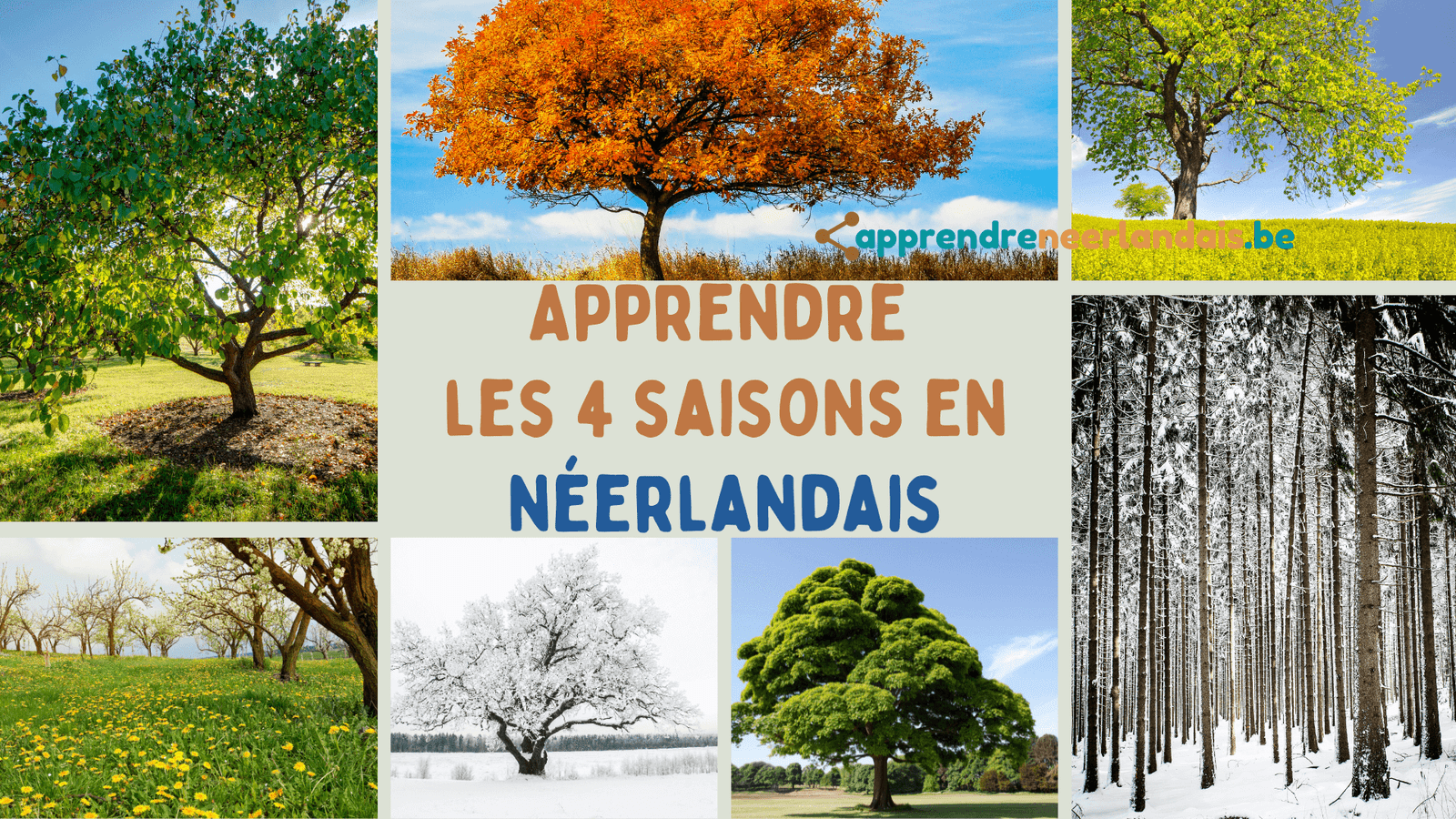 Apprendre les 4 saisons en néerlandais • Apprendre néerlandais